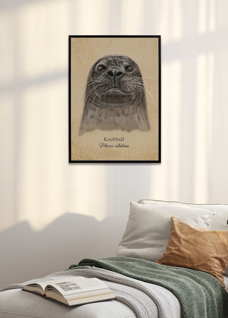 Knubbsäl poster av Tina Hugo - Printler