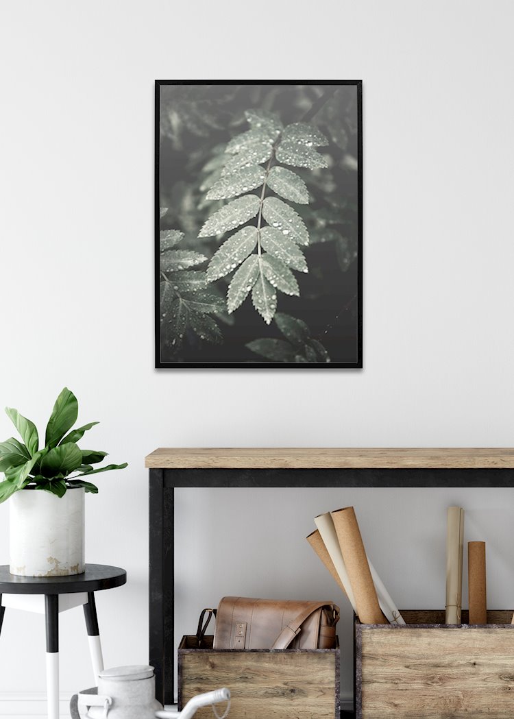 Rowan in rain posters & prints by Lisa Holmgren - Printler