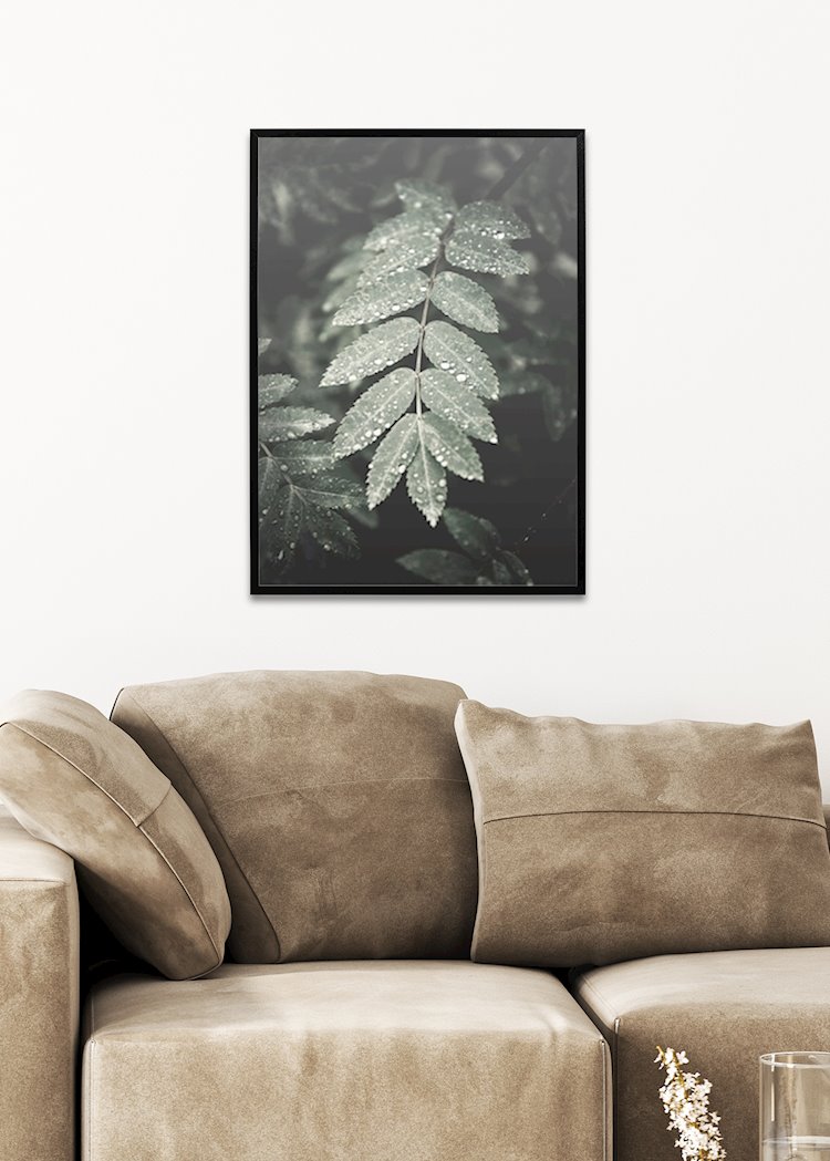 Rowan in rain posters & prints by Lisa Holmgren - Printler