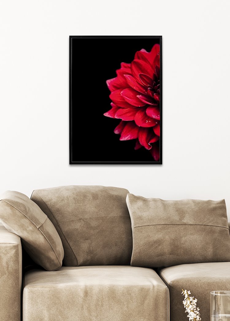 Fleur rouge affiches et impressions par Robin Nero - Printler